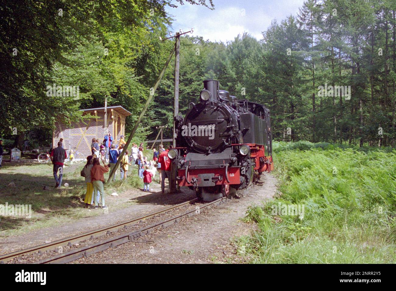 A steam train on the narrow gauge railway at Rugen in 1999 Stock Photo ...