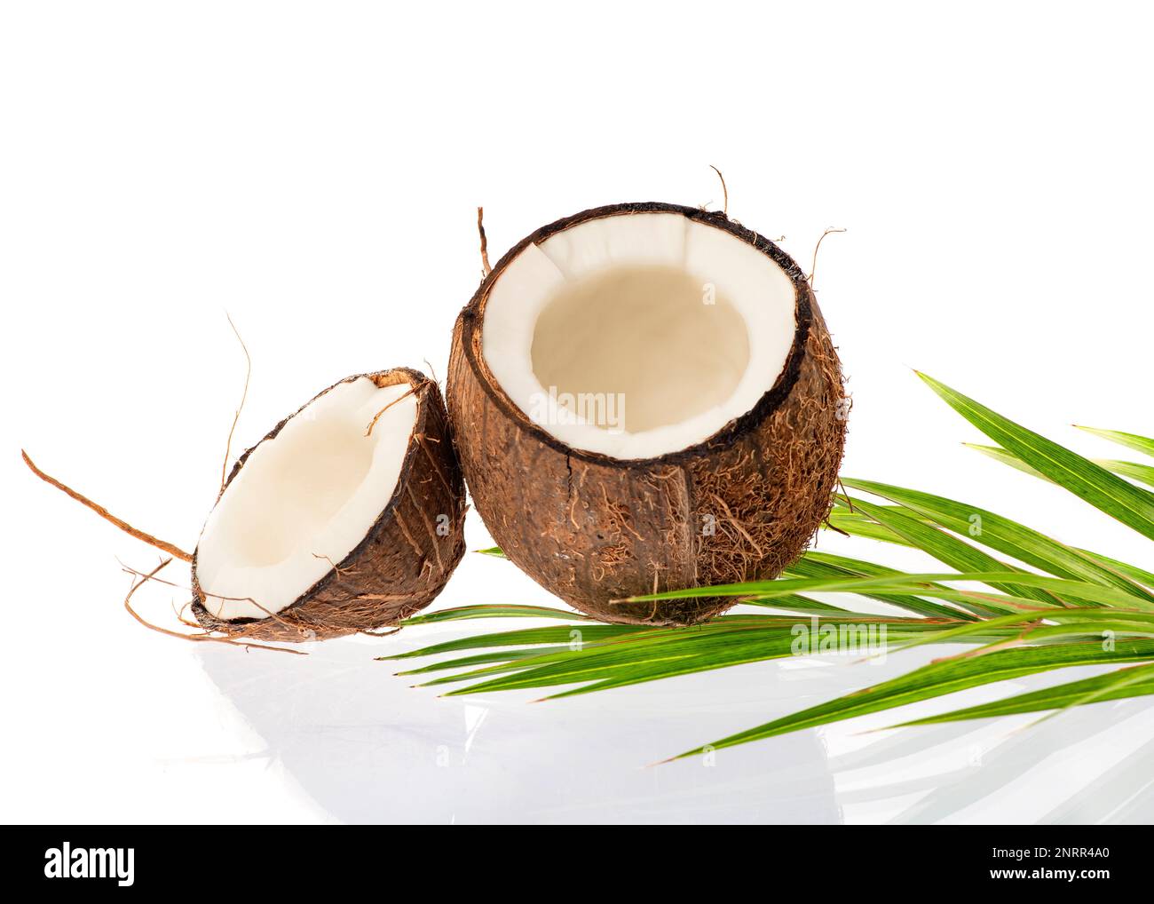 Coconut slice. Coco pieces isolated on white. Coconut with leaves Stock ...