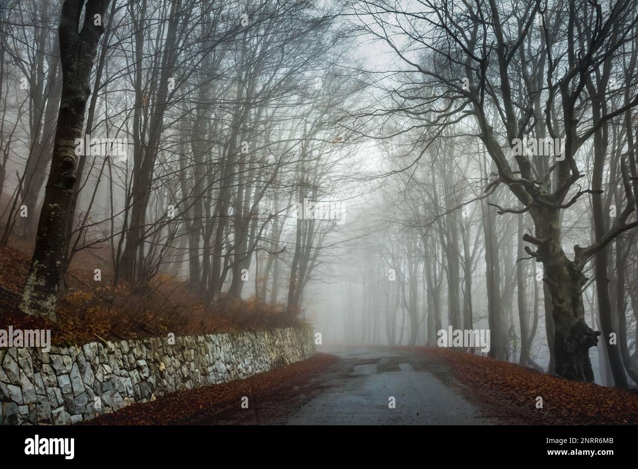 Spooky Road into Forest at autumn in Balkan Mountains near Shipka pass ...