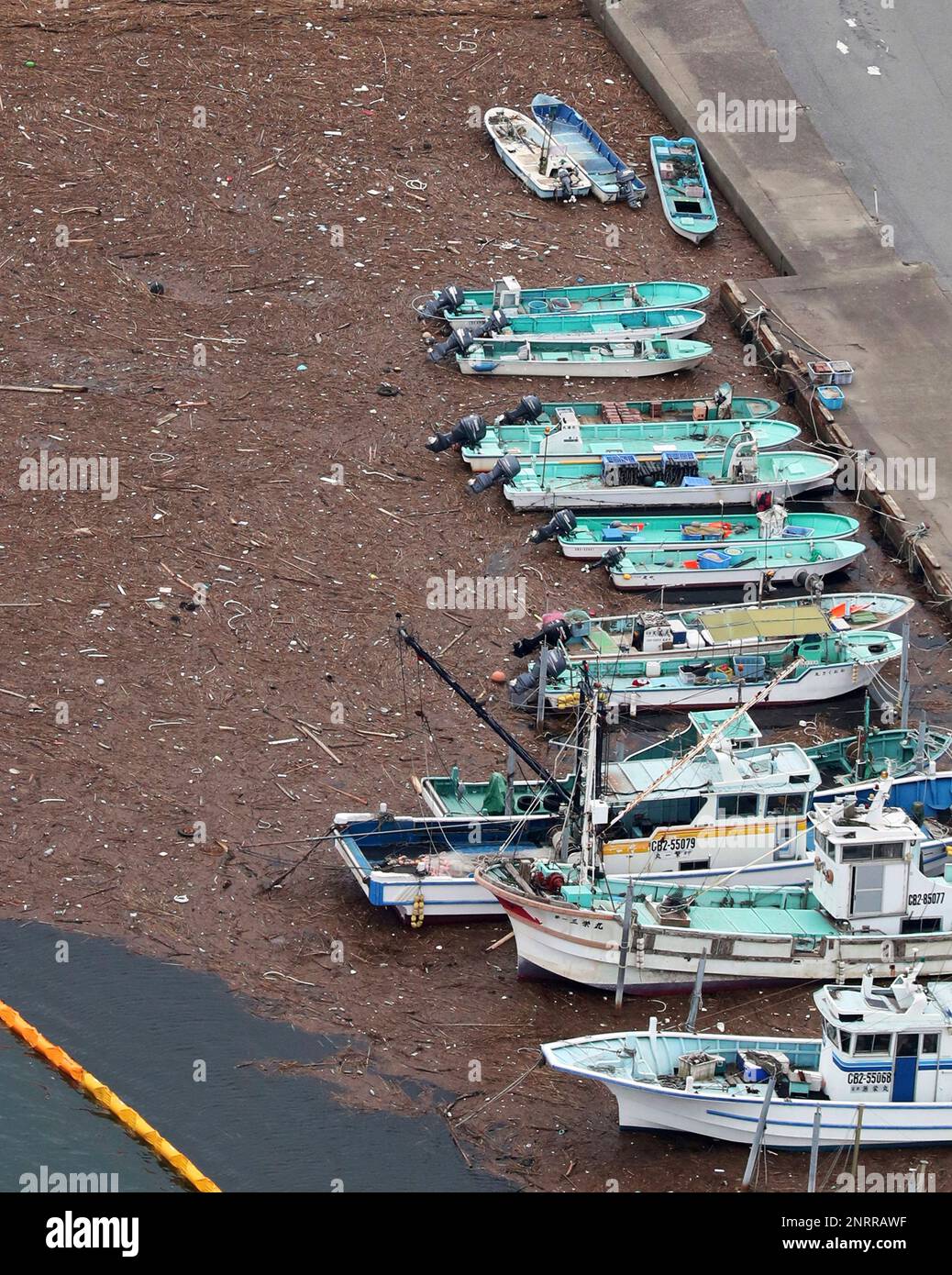 An aerial photo shows Futtsu fishing port filled with driftwoods in ...