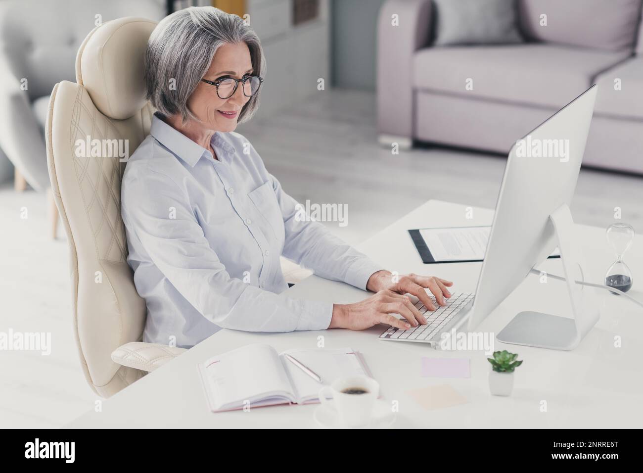 Profile portrait of successful smart representative lady sitting chair ...