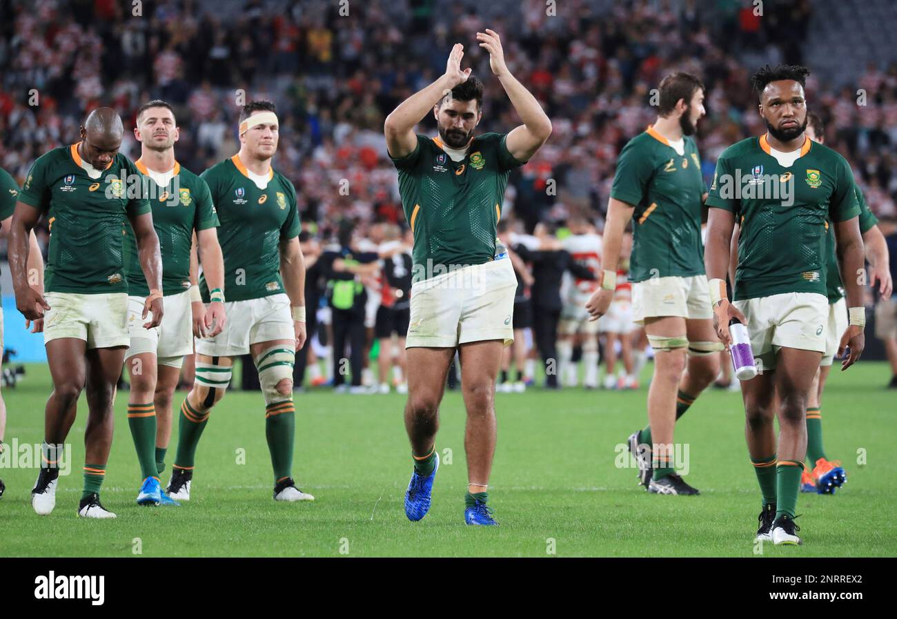 Members of South Africa celebrate after winning the 2019 Rugby World ...