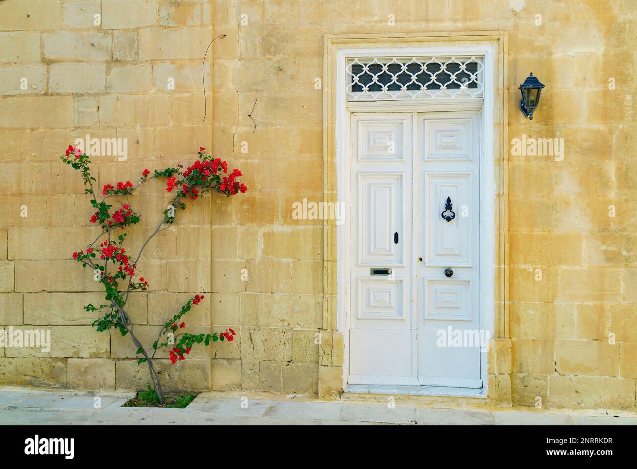 Traditional Maltese house with white artistic doors, red flowers ...