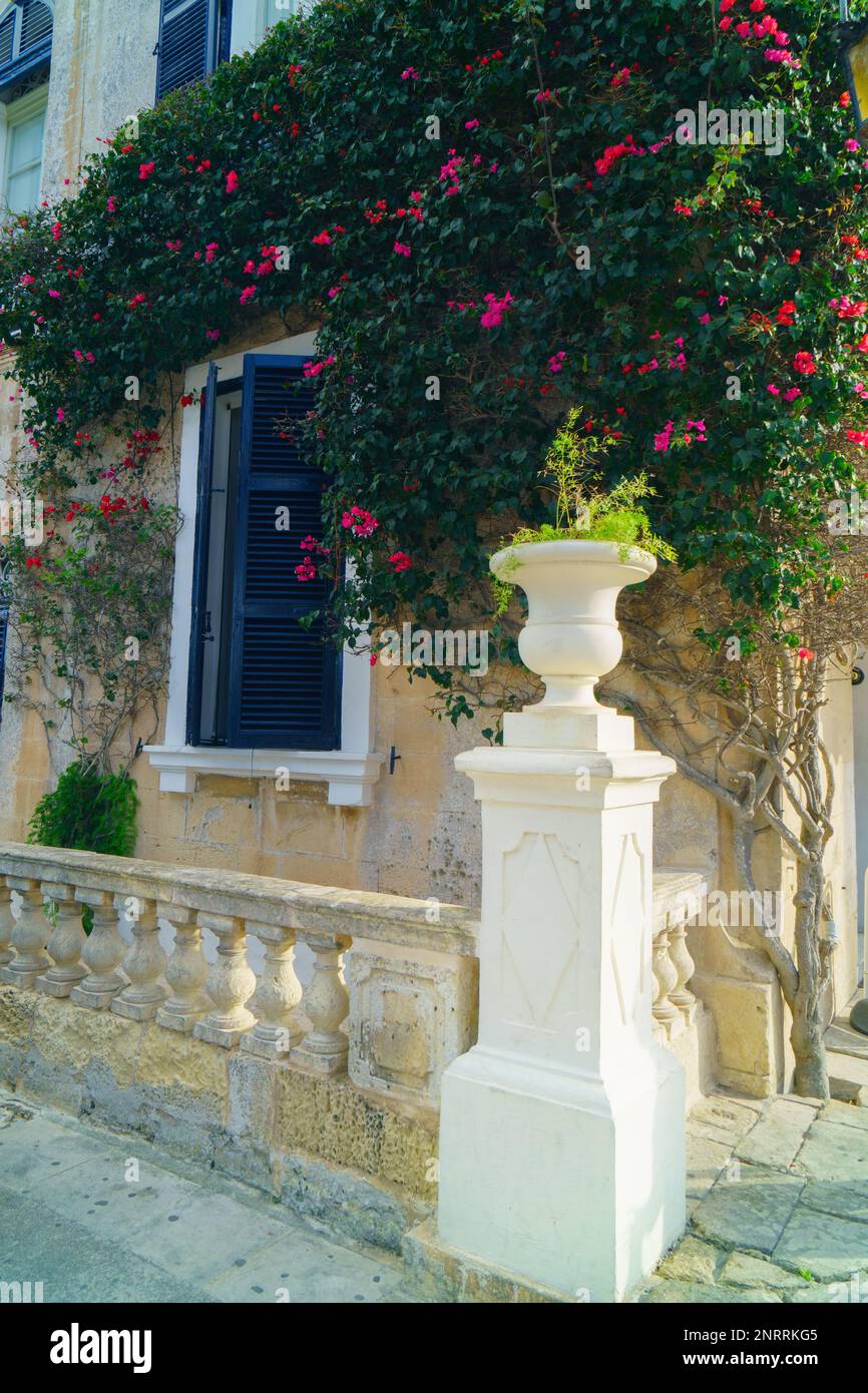 Traditional classic style wooden medieval vintage facade and dark blue ...