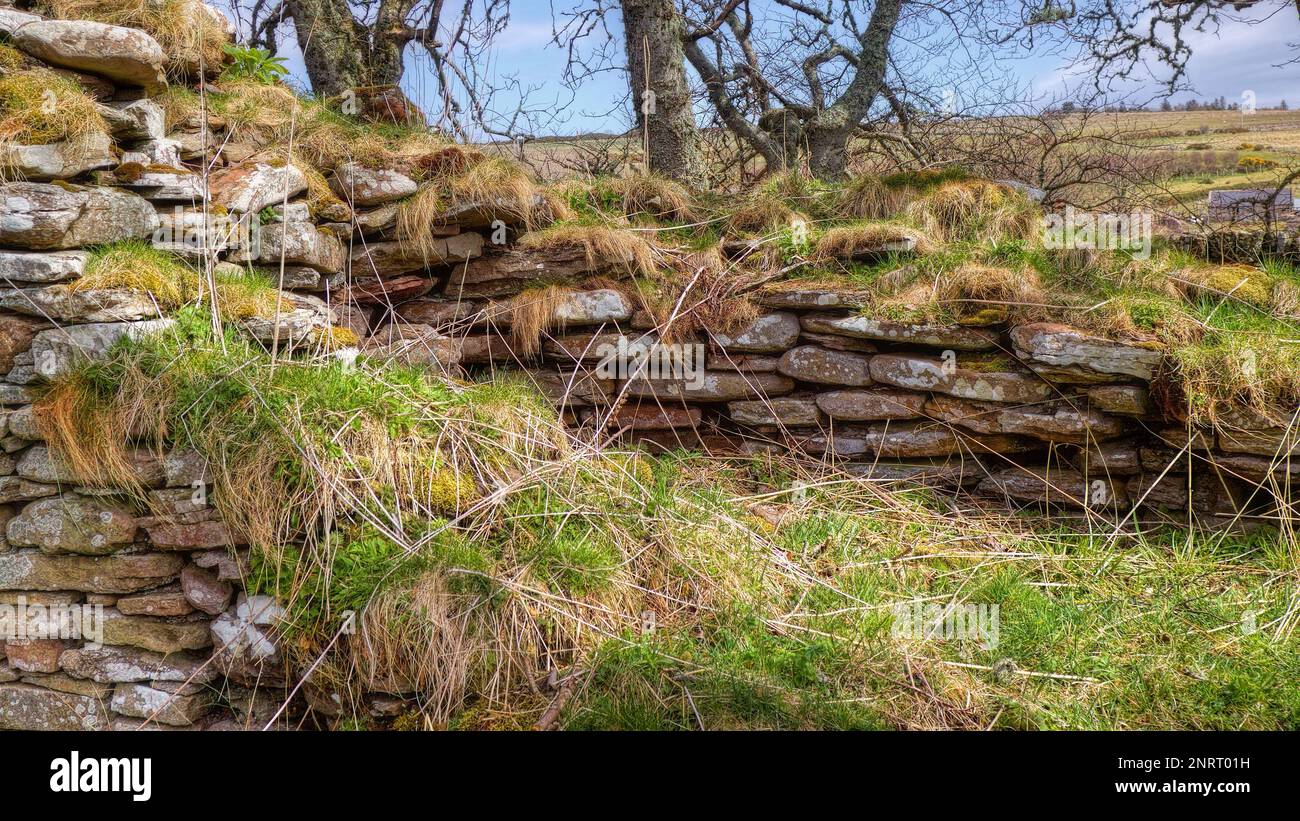 Dunbeath scotland hi-res stock photography and images - Alamy