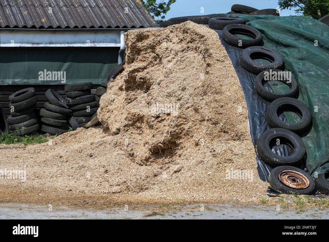 Silage quality hi-res stock photography and images - Alamy