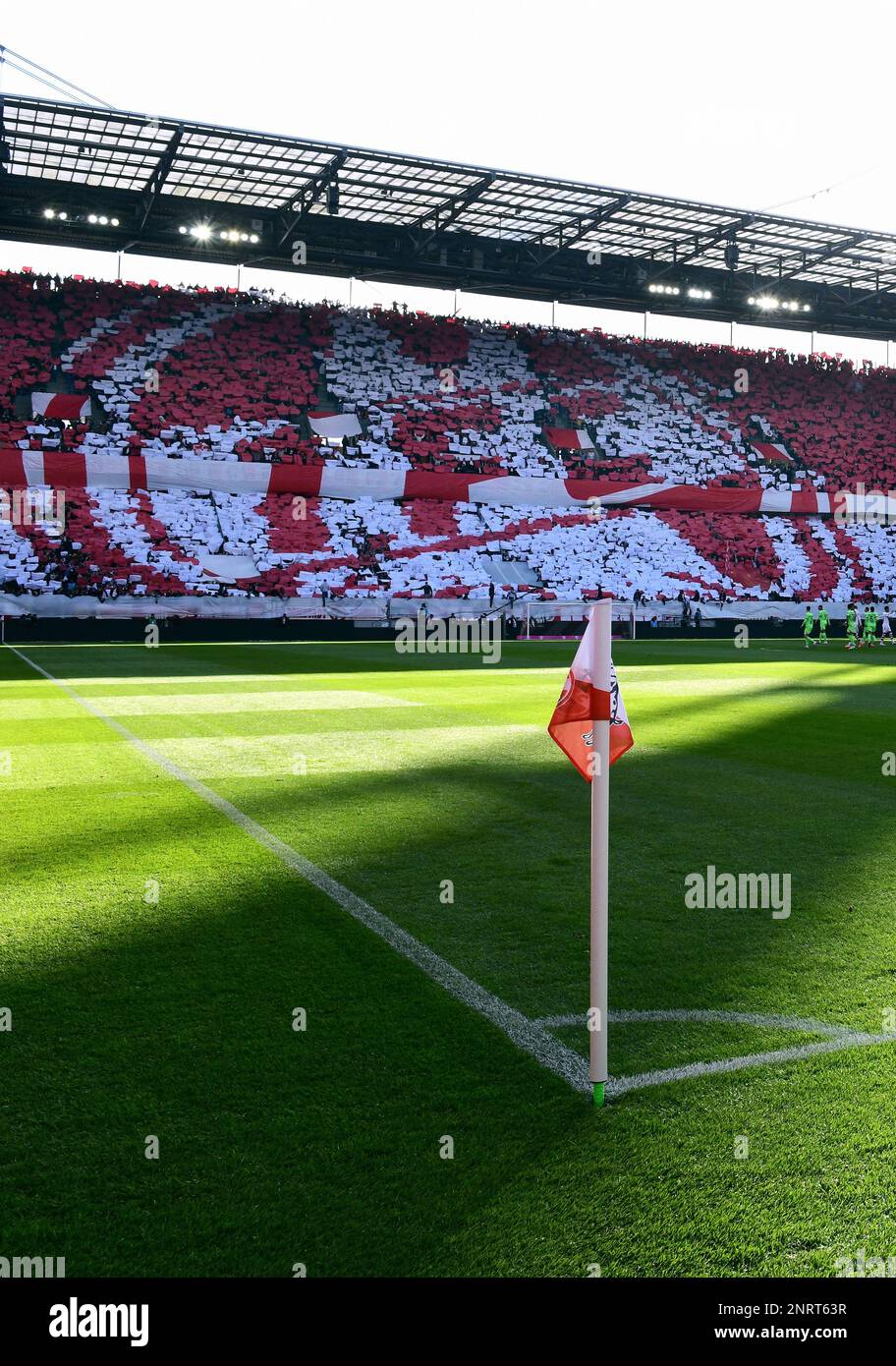 Bundesliga, Rhein Energie Stadium Cologne: 1. FC Köln vs VfL Wolfsburg ...