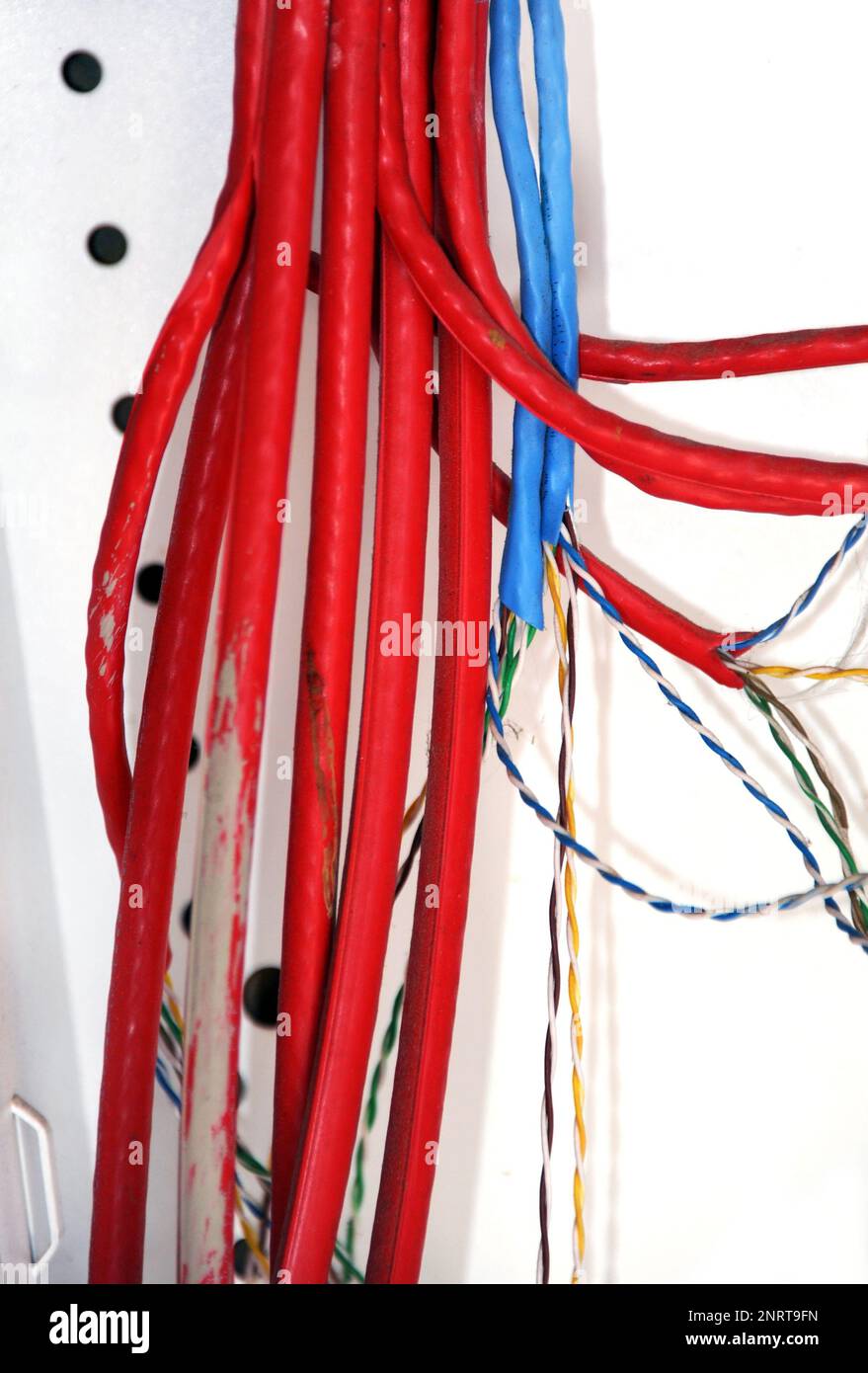 Home wiring is up to code. Blue and red wires appear on inside of ...