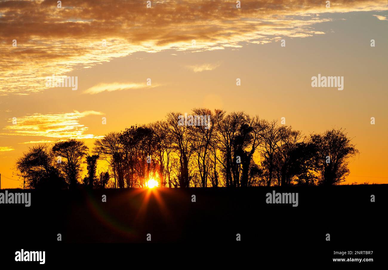 Sunset in countryside trees hi-res stock photography and images - Alamy