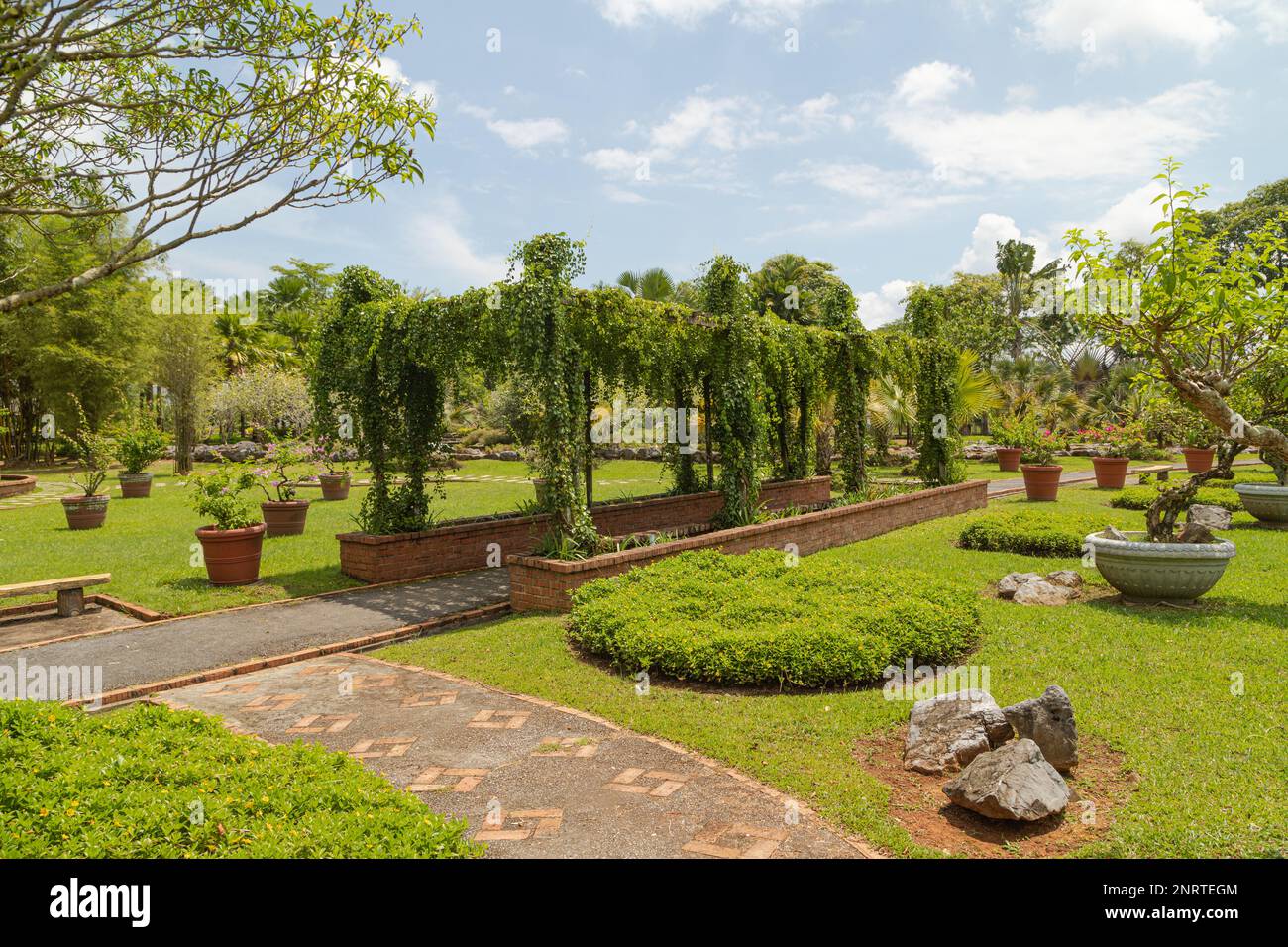 Palm collection in city park in Kuching, Malaysia, tropical garden with ...