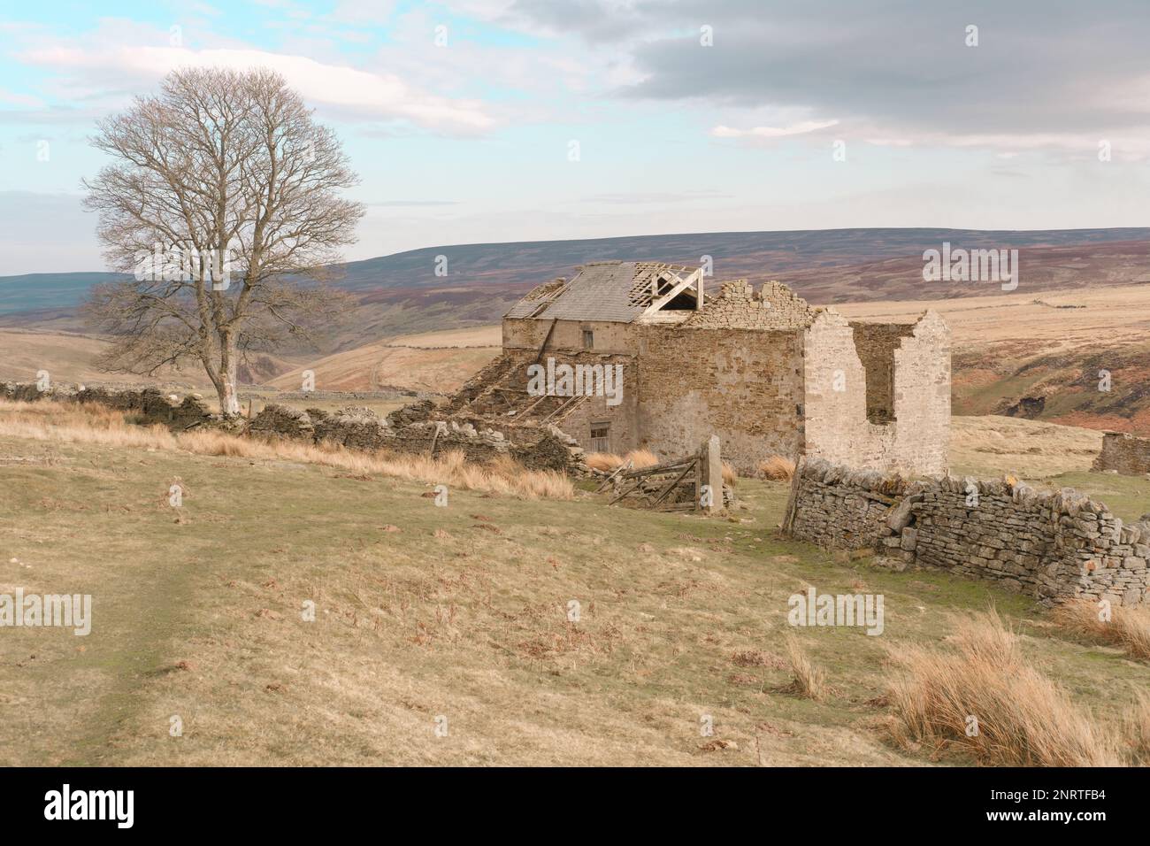 Abandoned hill farm on the Durham Moors at Edmunbyers Common County ...