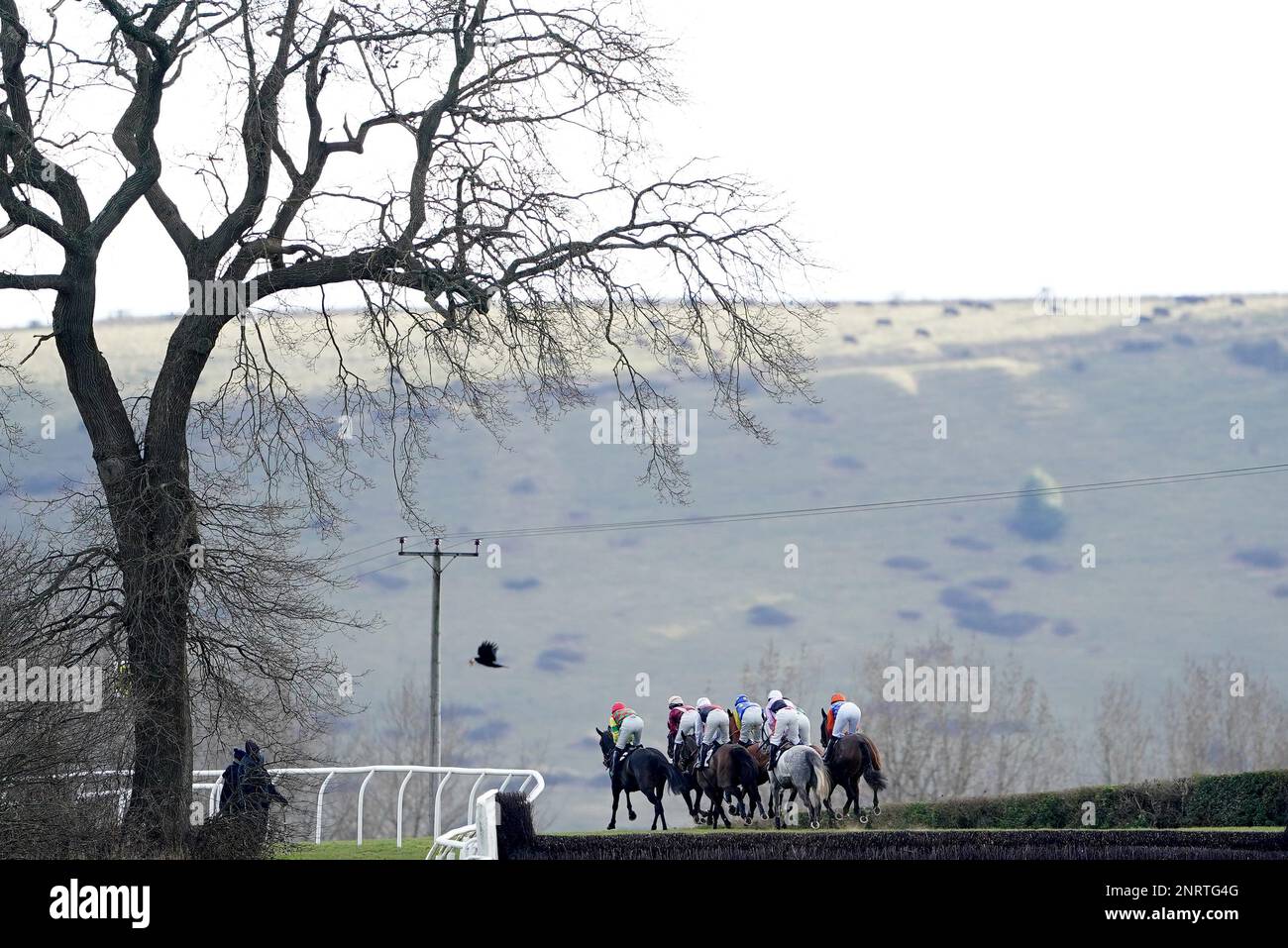 Horse ridering hi-res stock photography and images - Alamy