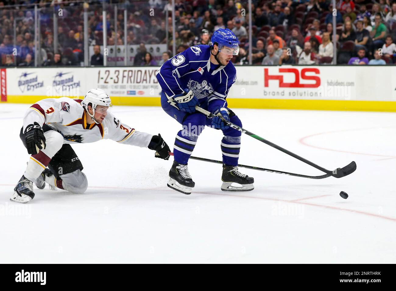 CLEVELAND, OH - OCTOBER 11: Cleveland Monsters defenceman Andrew Peeke ...