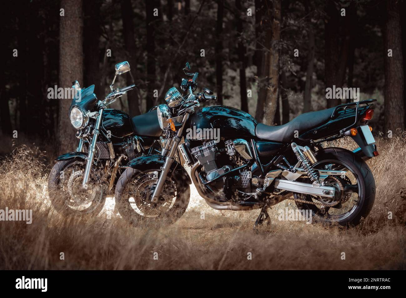 two cruiser motorbikes in the forest, retro colors Stock Photo - Alamy