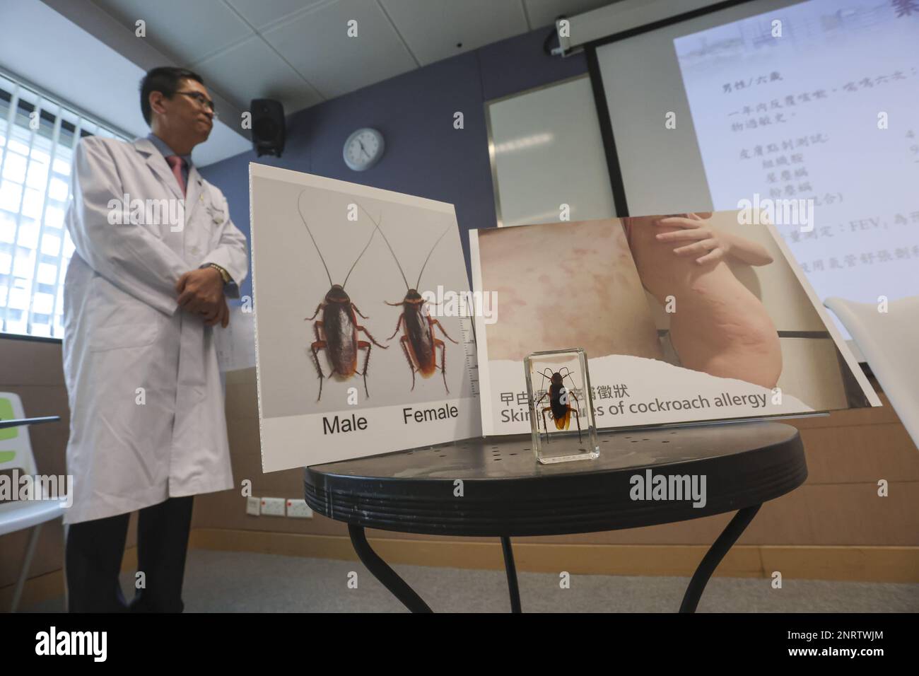 Chinese University of Hong Kong's (CUHK) Professor in the School of ...