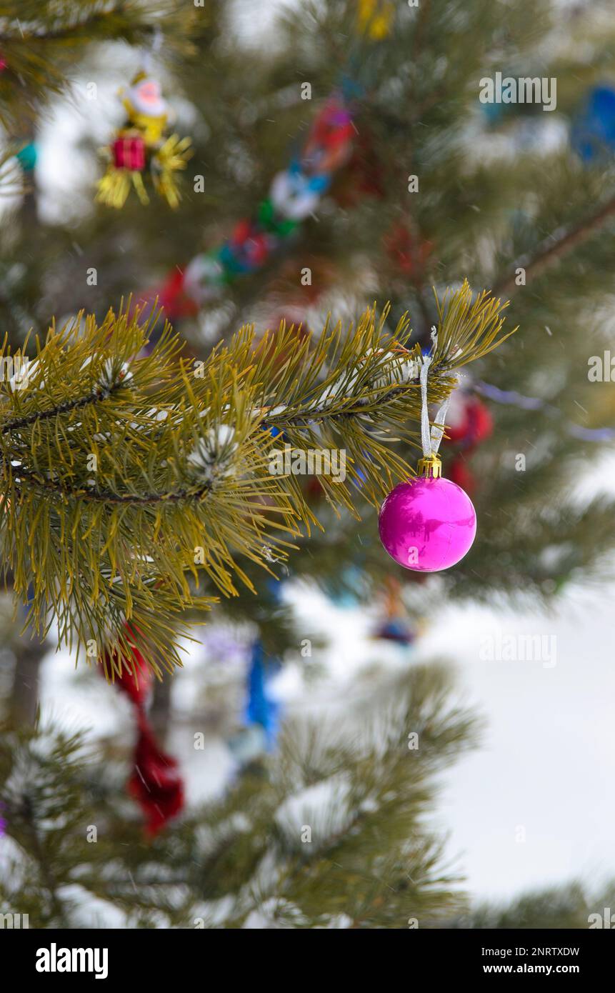 Multi-colored garlands and tinsel from the ball decorate the Christmas ...