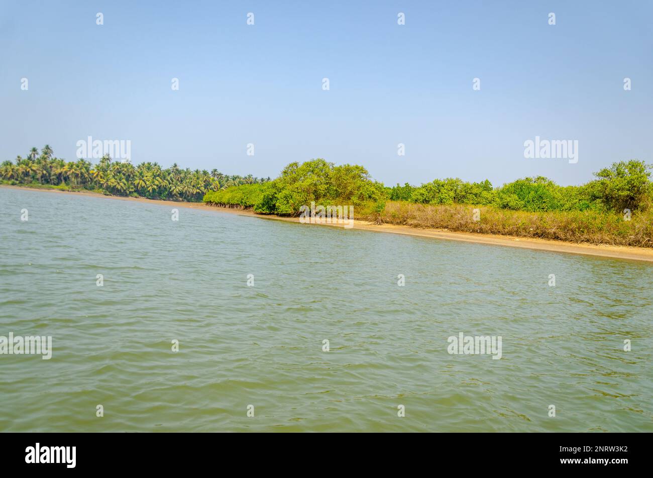 Backwaters of Kemmanu delta Stock Photo - Alamy