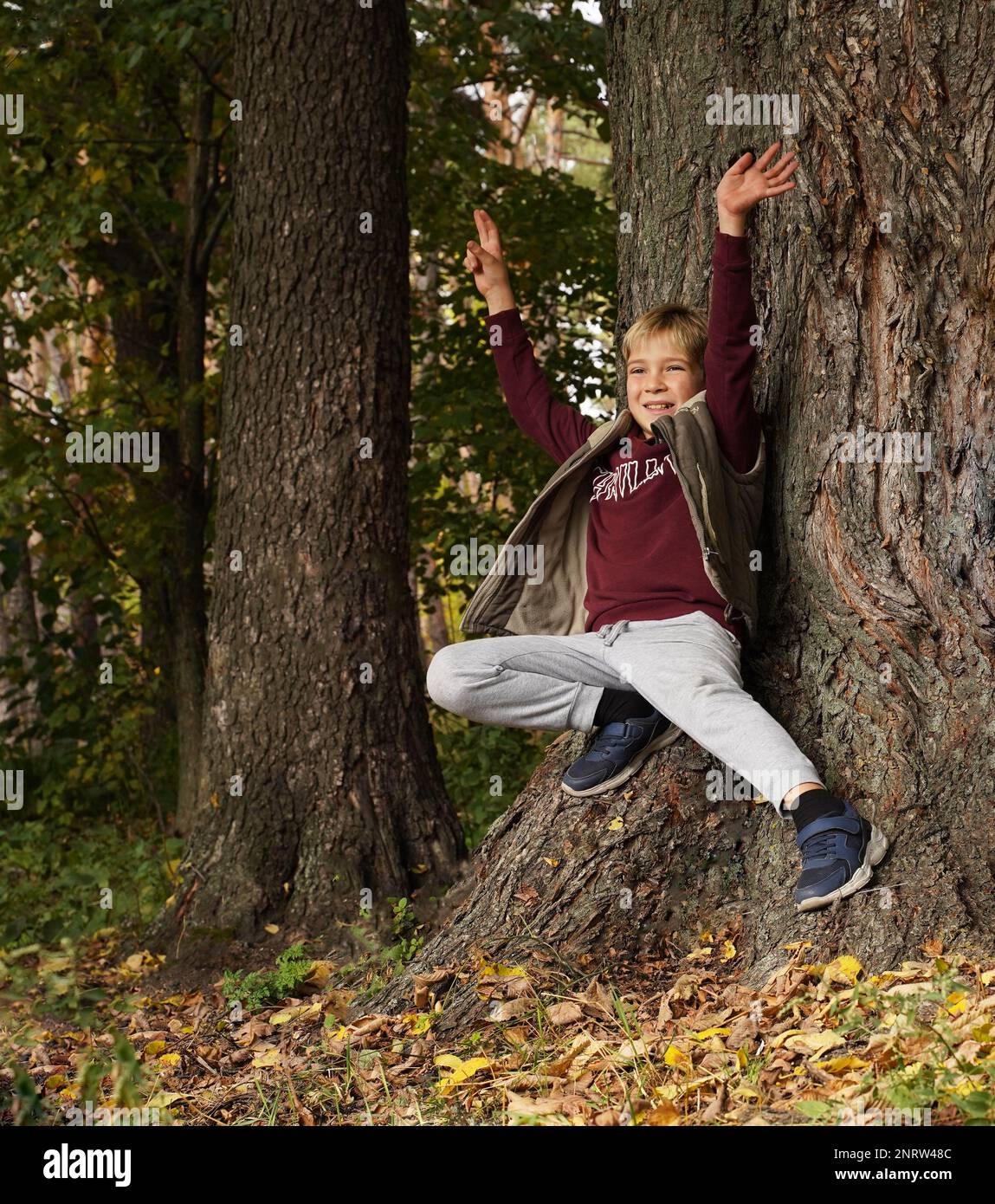 A boy has fun in the woods leaning on a century-old old oak tree Stock ...