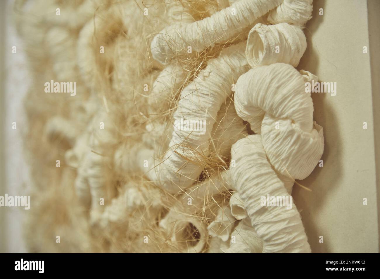 Hanji, traditional Korean paper, paper doll handmade from mulberry ...