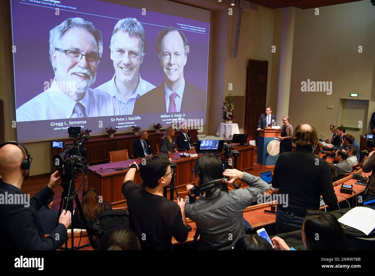 Thomas Perlmann, far right, Secretary-General of the Nobel Committee ...