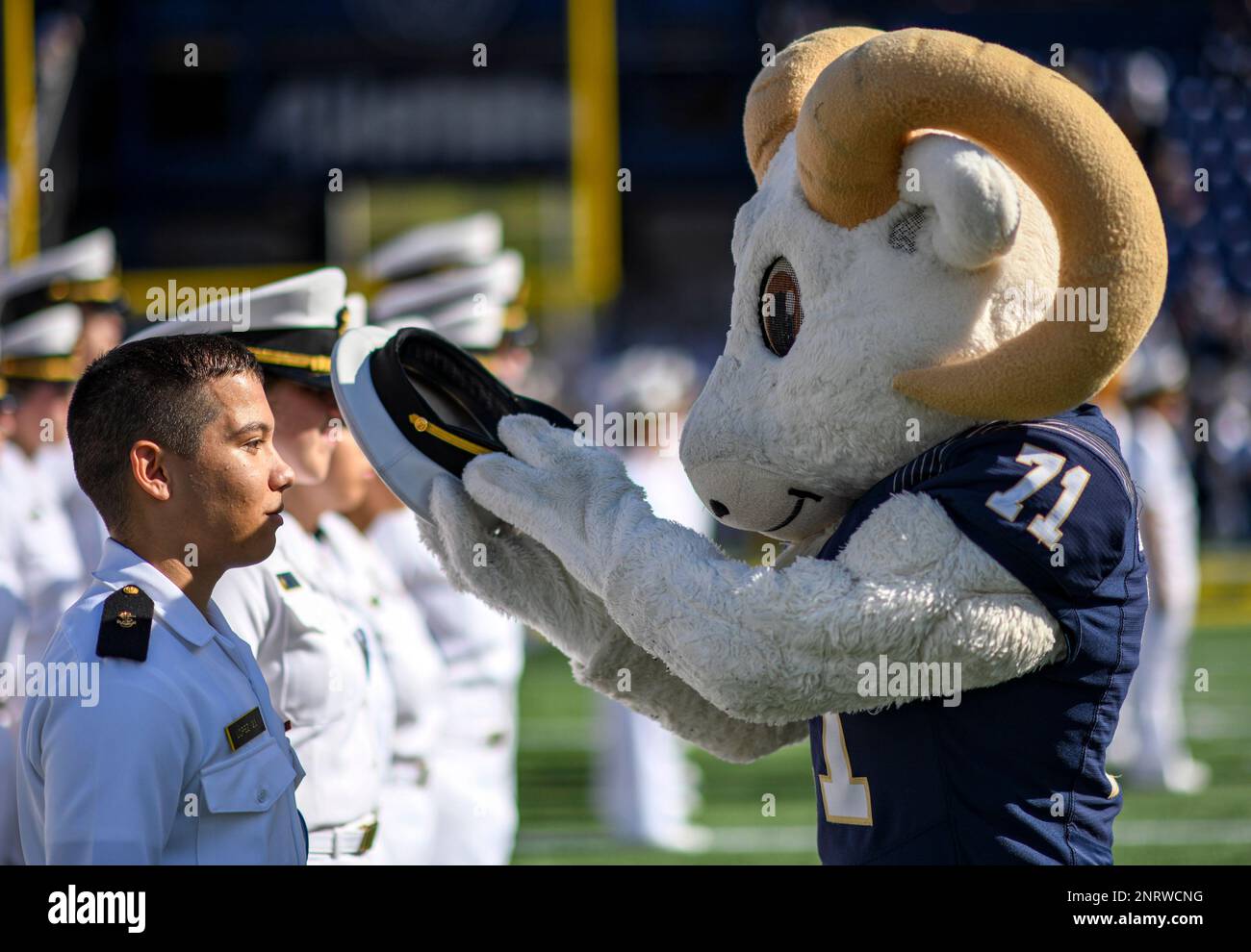 ANNAPOLIS, MD - OCTOBER 5: The Navy mascot, Bill The Goat takes the ...