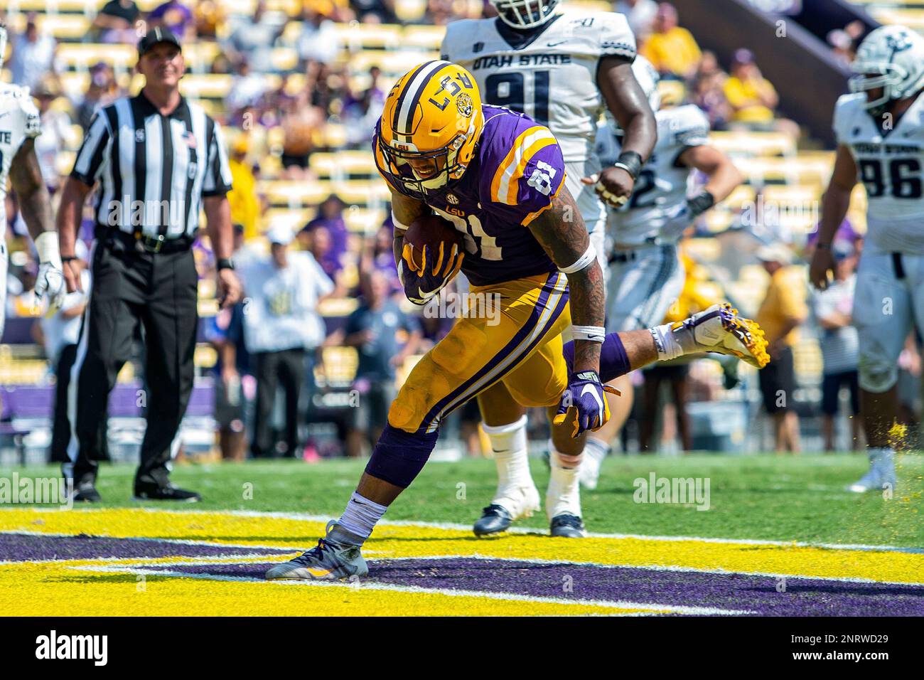 BATON ROUGE, LA - OCTOBER 05: LSU Tigers tight end Thaddeus Moss (81 ...