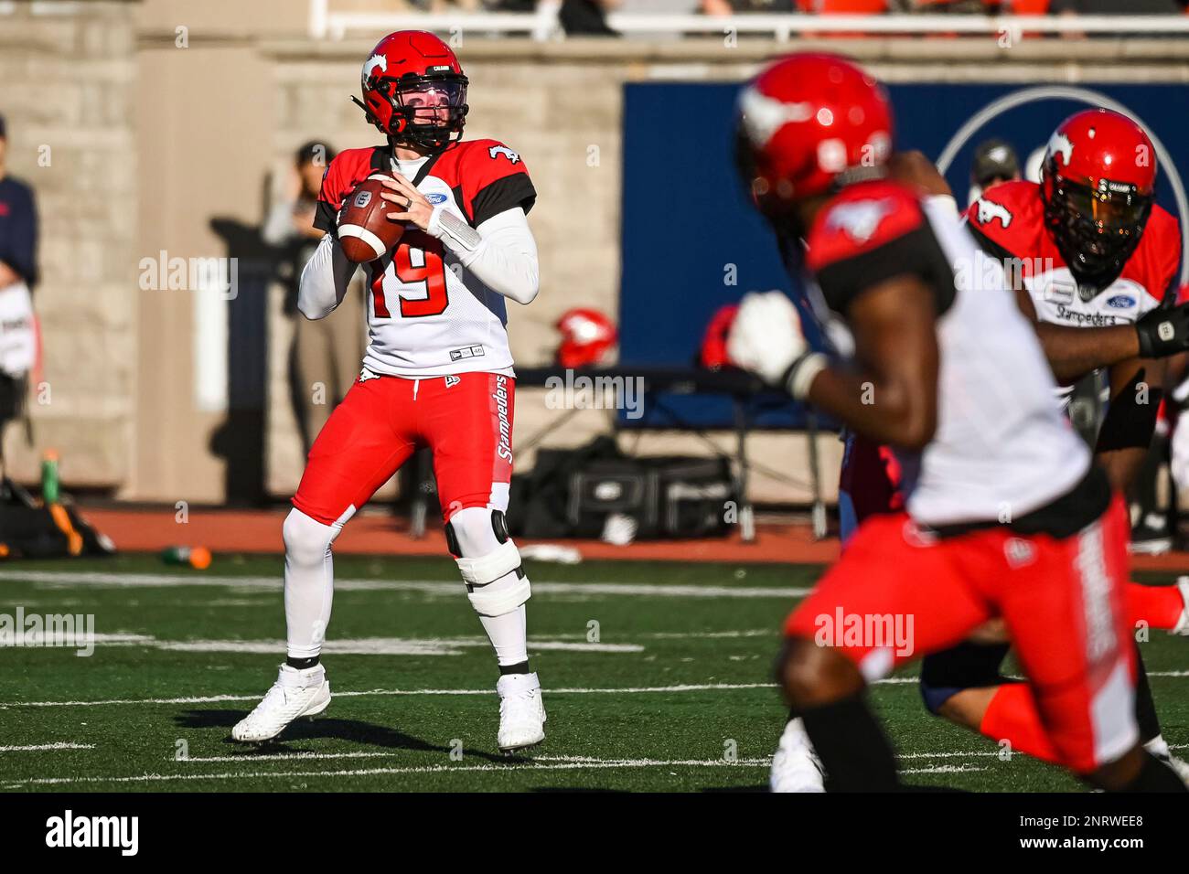 MONTREAL, QC - OCTOBER 05: Montreal Alouettes wide receiver Dante ...
