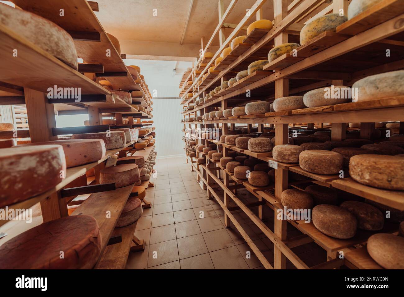 Large cheddar wheel hi-res stock photography and images - Alamy