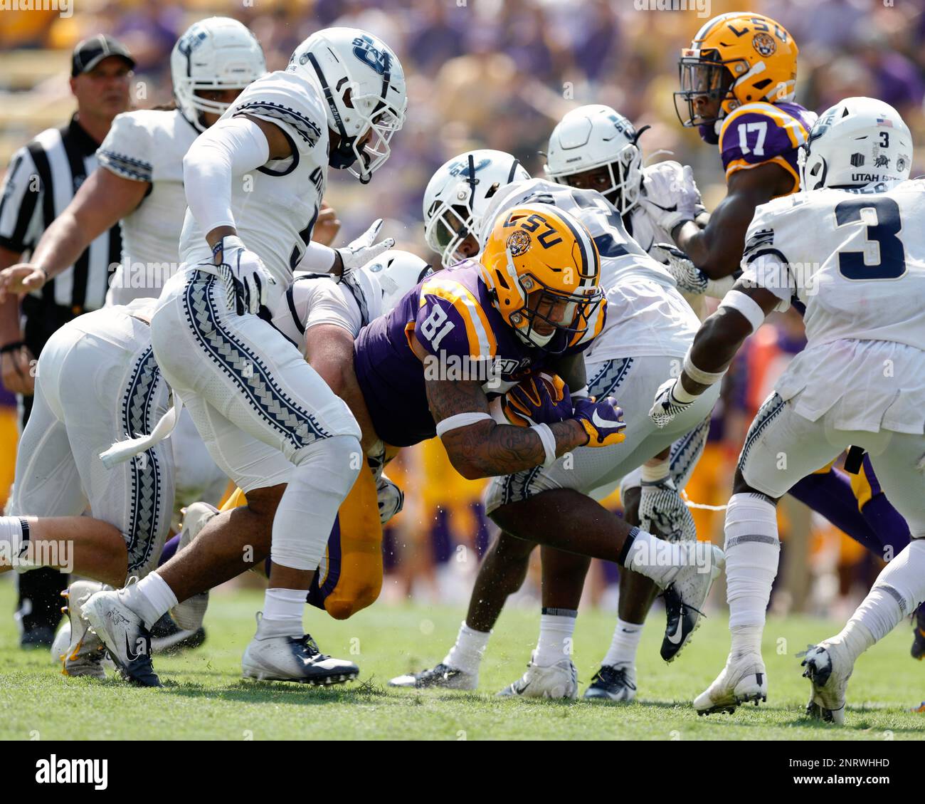 BATON ROUGE, LA - OCTOBER 05: LSU Tigers tight end Thaddeus Moss (81 ...