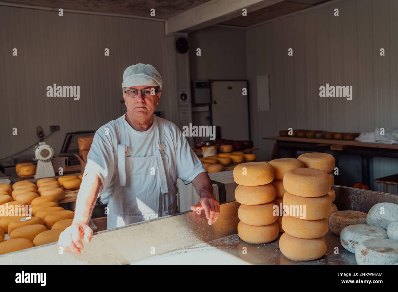 The cheese maker sorting freshly processed pieces of cheese and ...