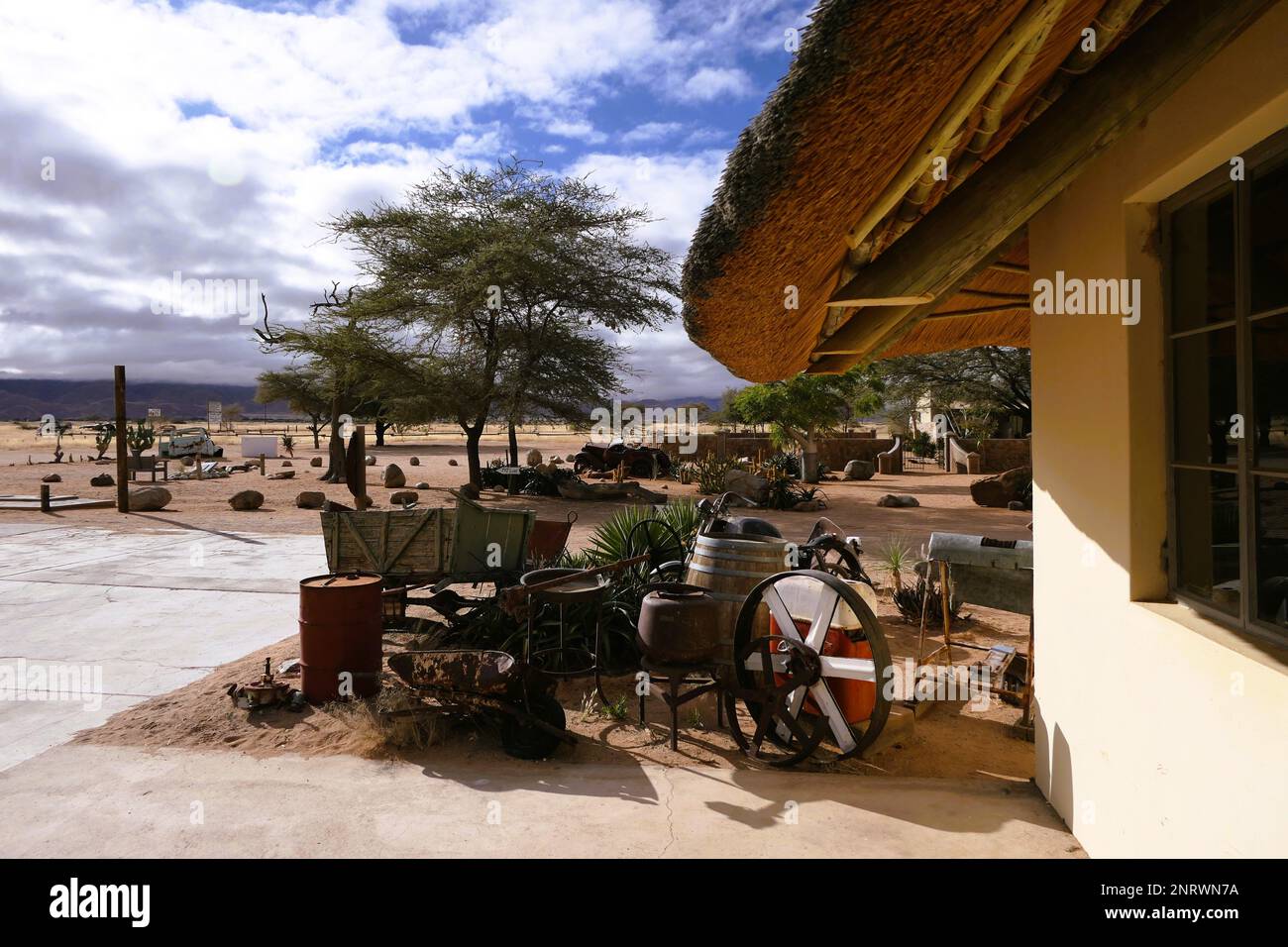 habitat preservation Solitaire in Namibia Stock Photo - Alamy