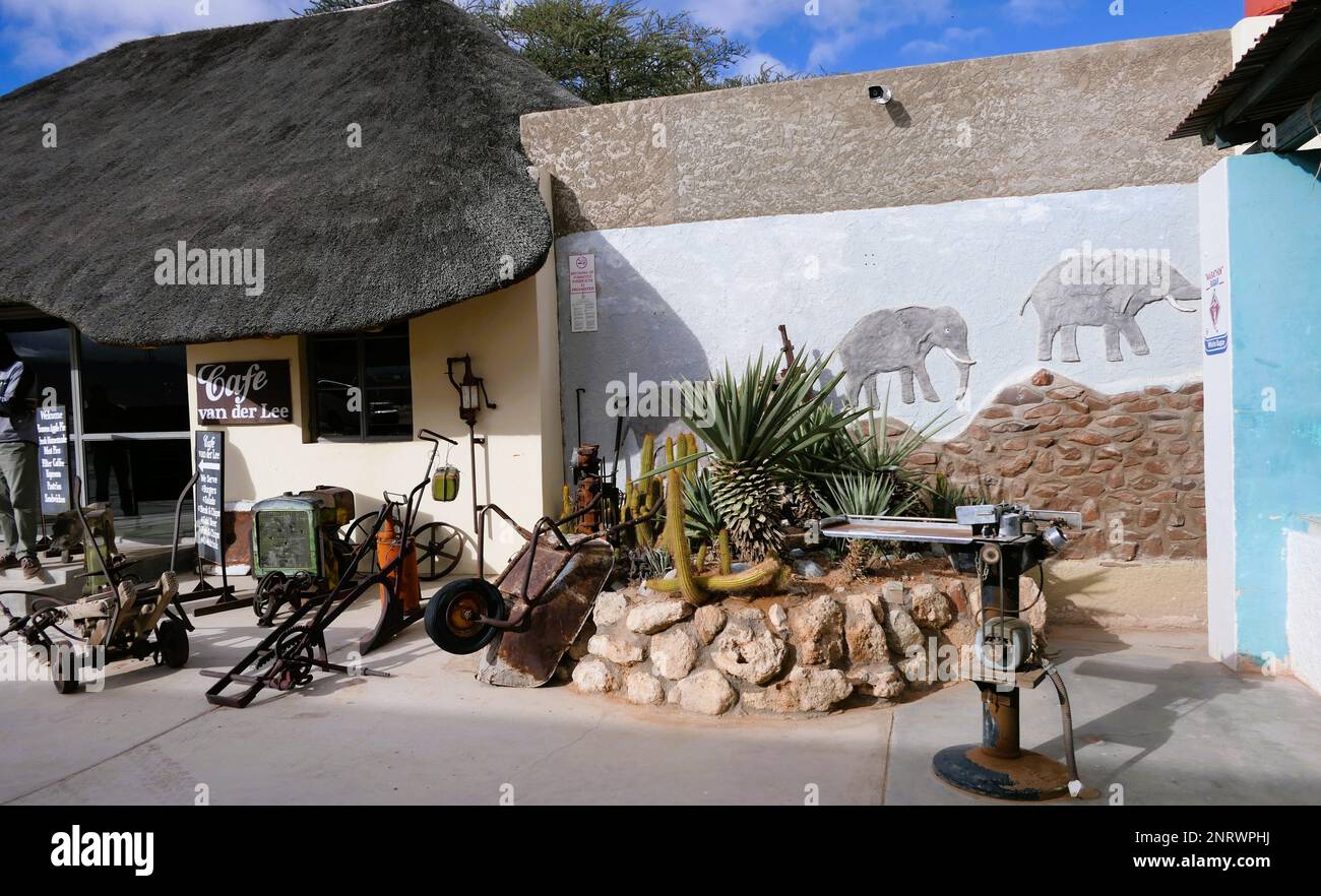 habitat preservation Solitaire in Namibia Stock Photo - Alamy