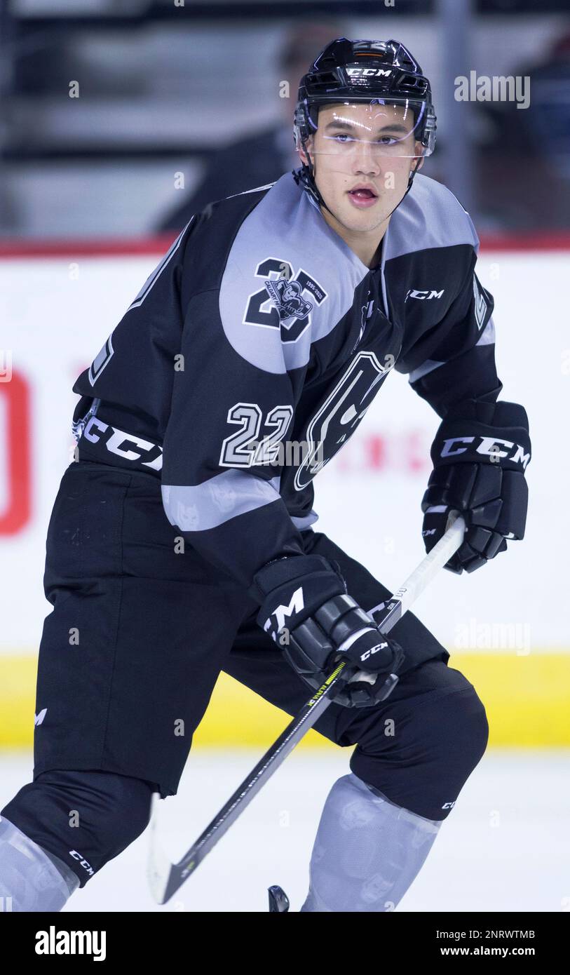 WHL (Western Hockey League) profile photo on Calgary Hitmen player Adam ...