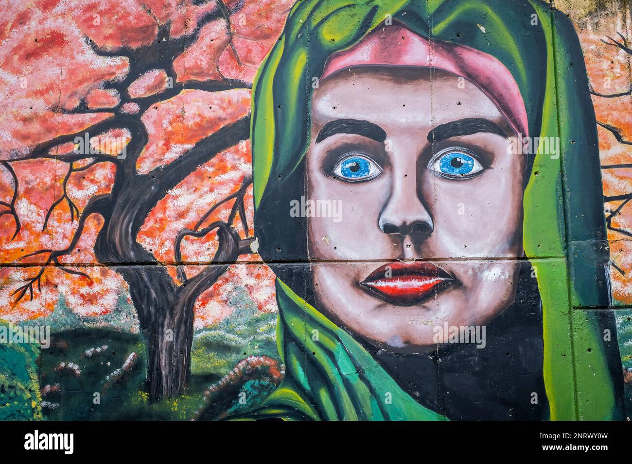 Street art, mural, graffiti, Comuna 13, Medellín, Colombia Stock Photo ...