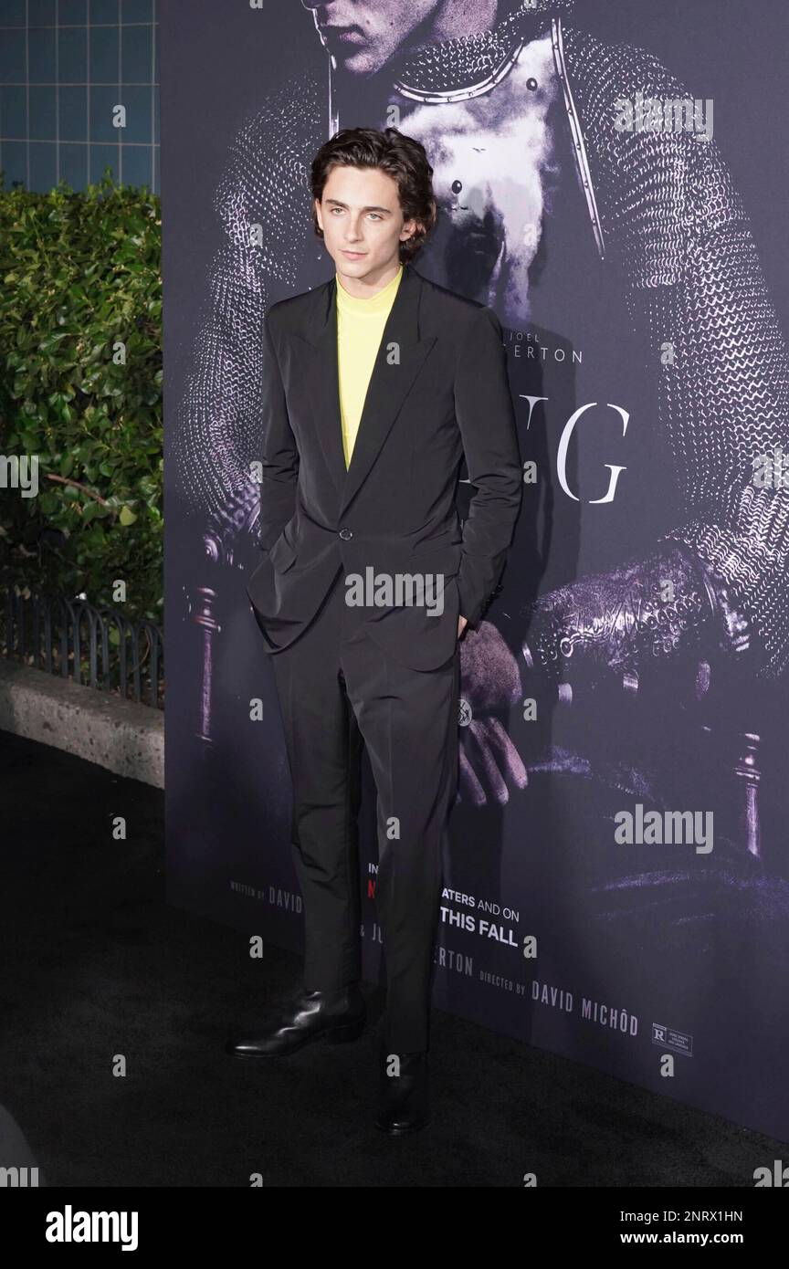 Photo by: John Nacion/STAR MAX/IPx 2019 10/1/19 Timothee Chalamet at the premiere of 'The King ...