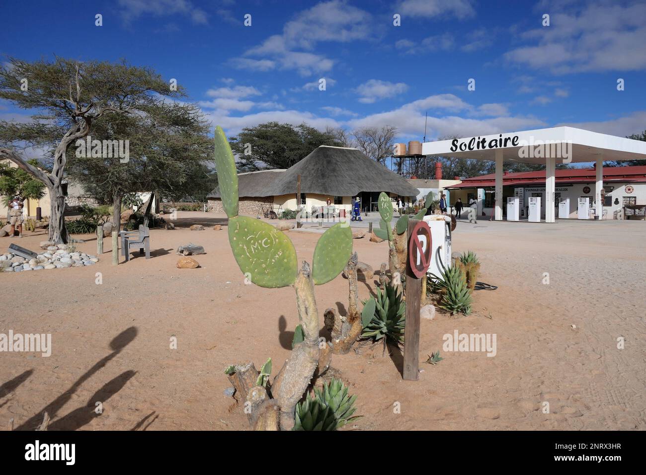 habitat preservation Solitaire in Namibia Stock Photo - Alamy