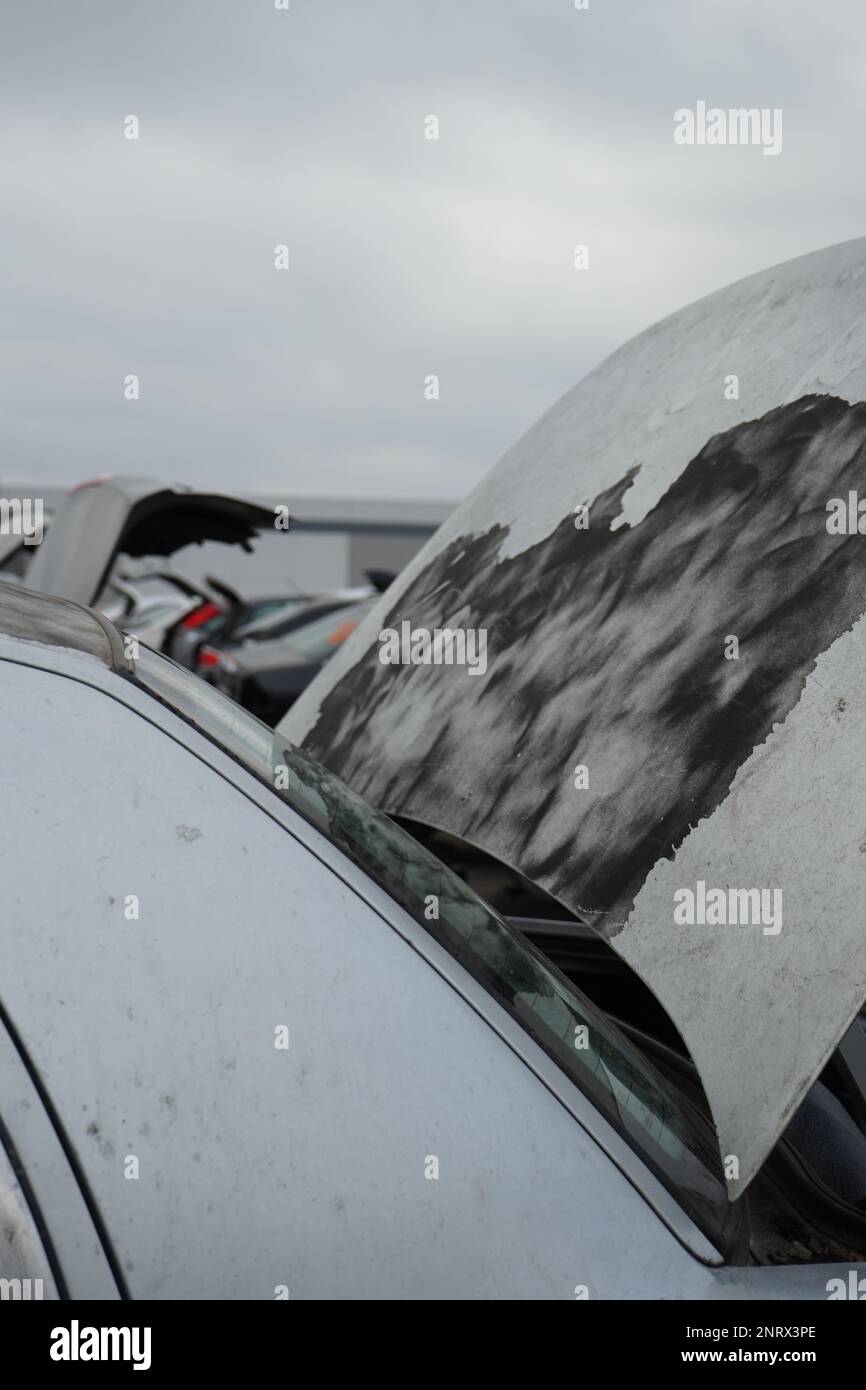 Junkyard Shots Filled with Dead and Decaying Cars that have been lost ...