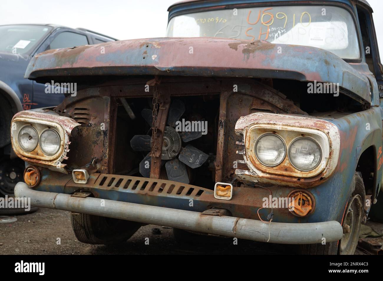 Junkyard Shots Filled with Dead and Decaying Cars that have been lost ...