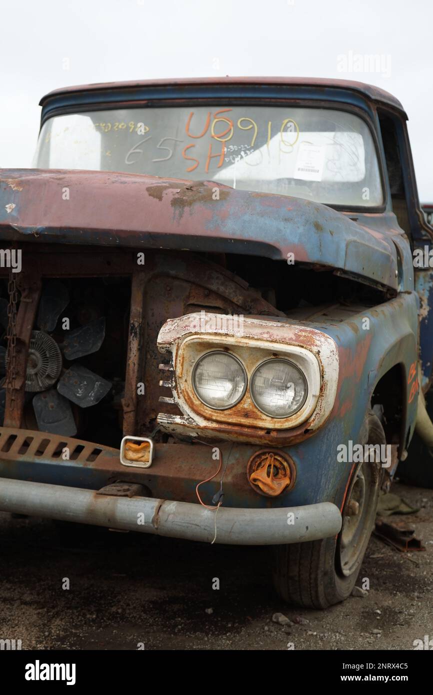 Junkyard Shots Filled with Dead and Decaying Cars that have been lost ...