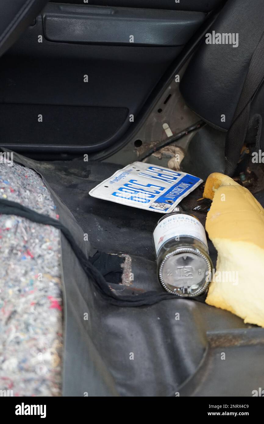 Junkyard Shots Filled with Dead and Decaying Cars that have been lost ...