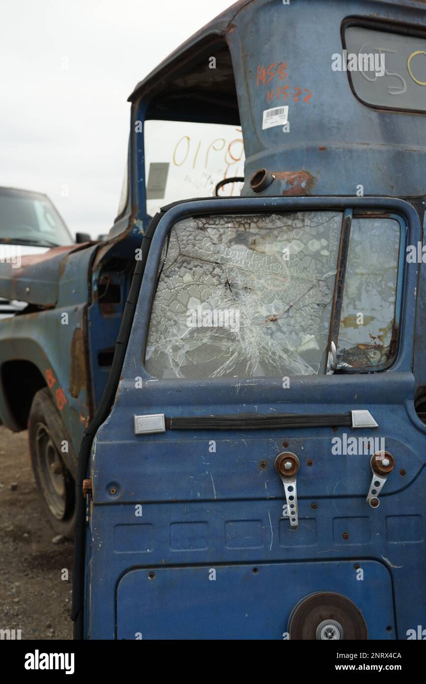 Junkyard Shots Filled with Dead and Decaying Cars that have been lost ...