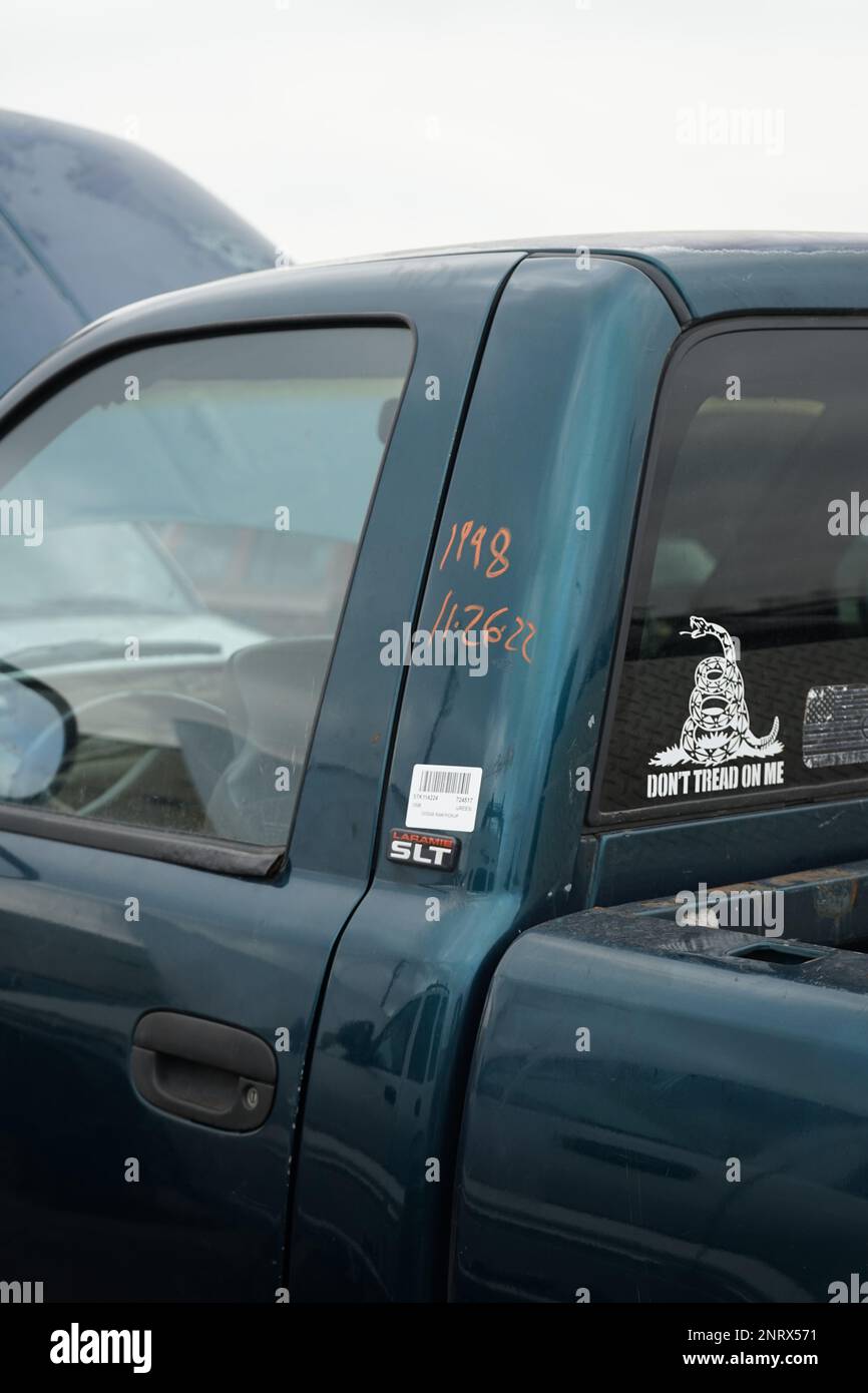 Junkyard Shots Filled with Dead and Decaying Cars that have been lost ...
