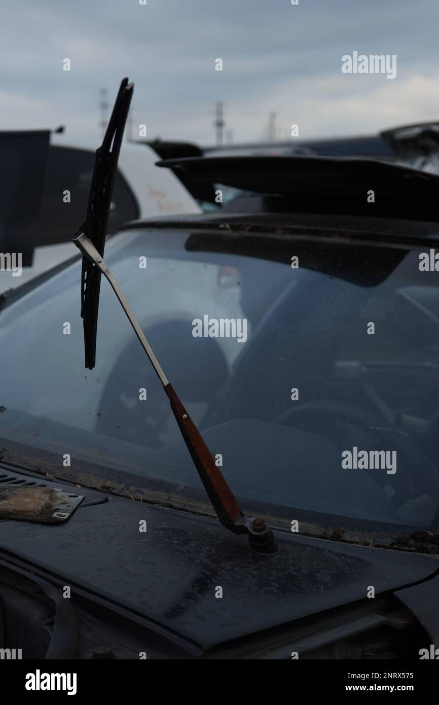 Junkyard Shots Filled with Dead and Decaying Cars that have been lost ...