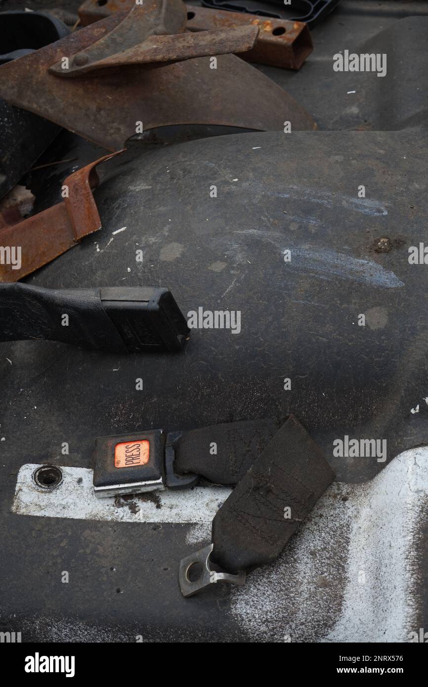 Junkyard Shots Filled with Dead and Decaying Cars that have been lost ...