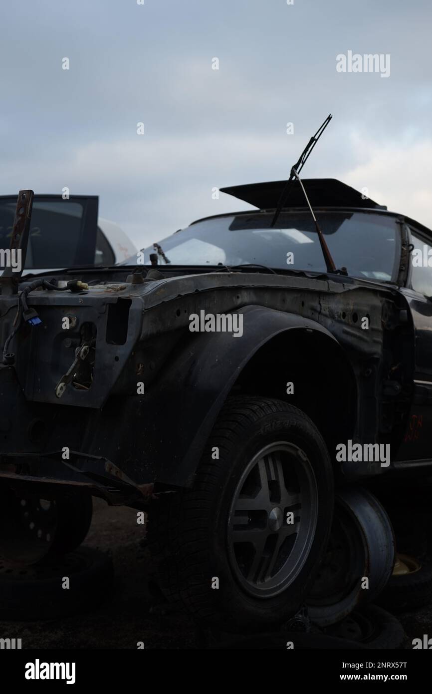 Junkyard Shots Filled with Dead and Decaying Cars that have been lost ...