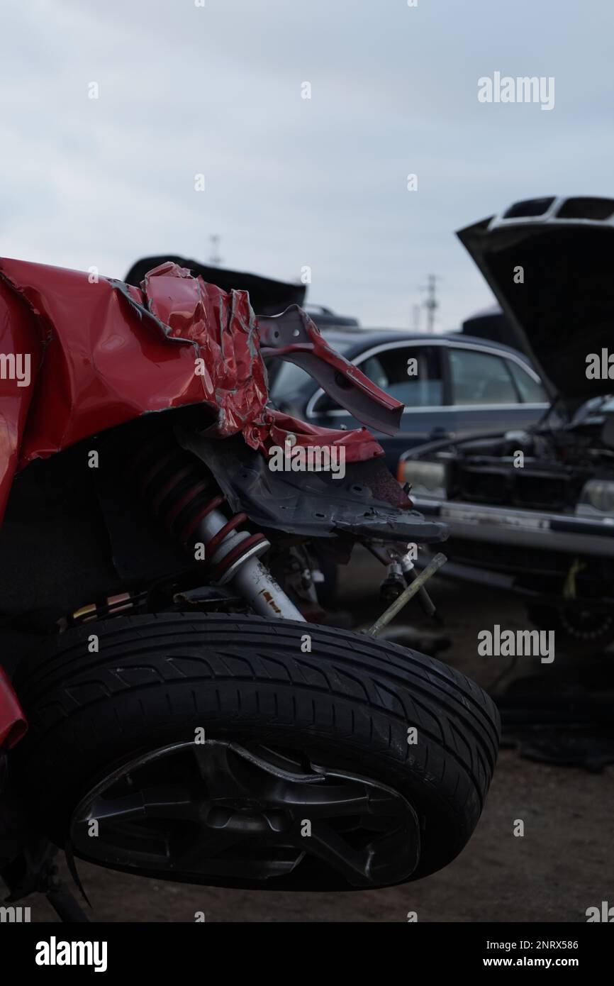Junkyard Shots Filled with Dead and Decaying Cars that have been lost ...