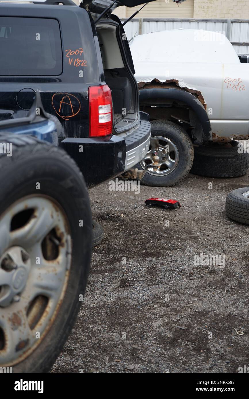 Junkyard Shots Filled with Dead and Decaying Cars that have been lost ...