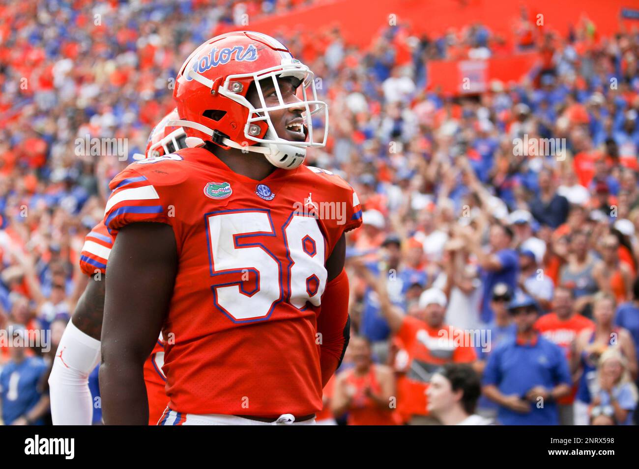 Florida Gators linebacker Jonathan Greenard (58) celebrates against the ...