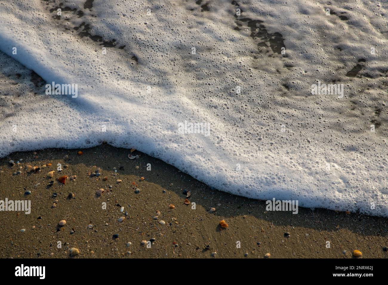 a small wave foaming on the beach sand, white foa Stock Photo - Alamy