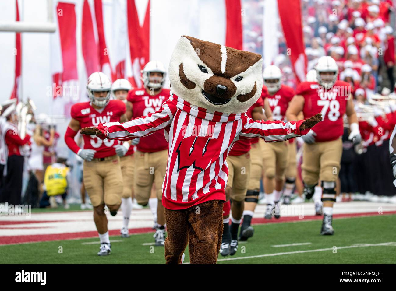 Wisconsin Badgers mascot Bucky Badger leads the team onto the field ...